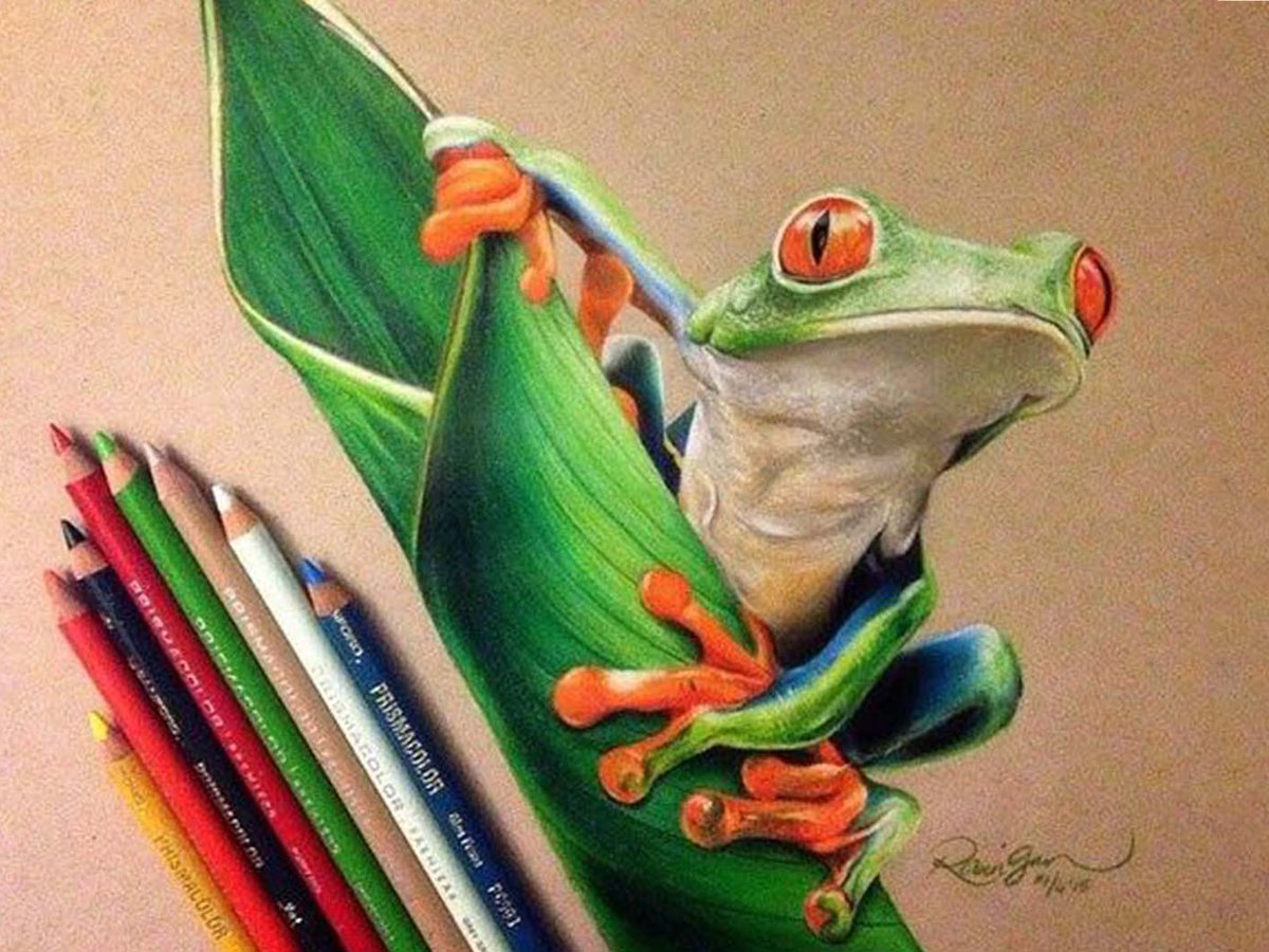 how to draw realistic drawings with colored pencils