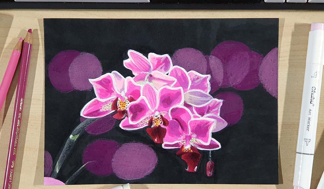 orchid drawing