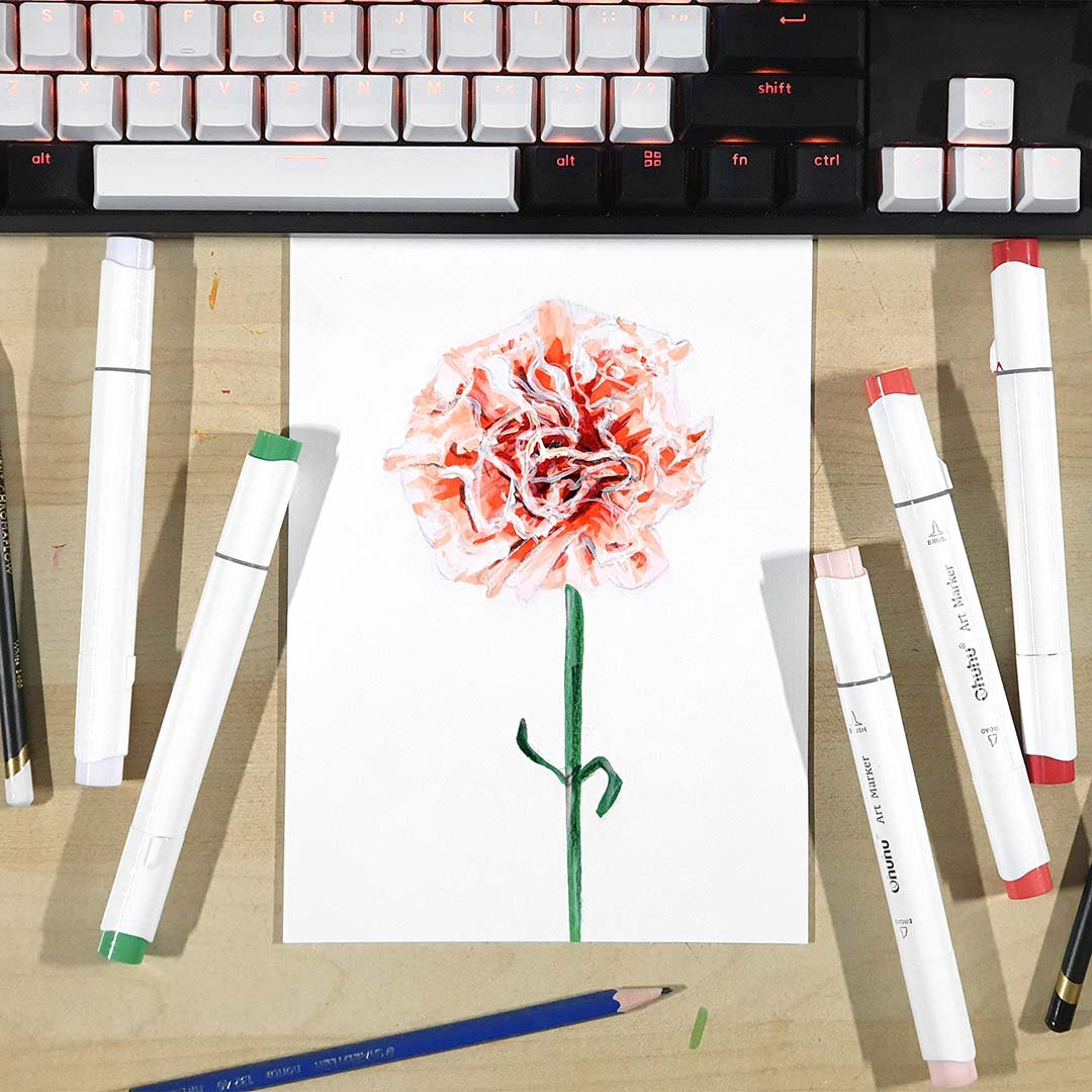 how to draw carnation flowers