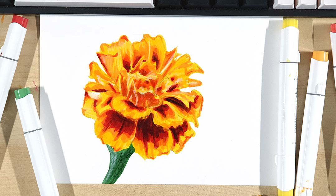 How To Draw A Marigold - Simple & Realistic Step-By-Step Guide