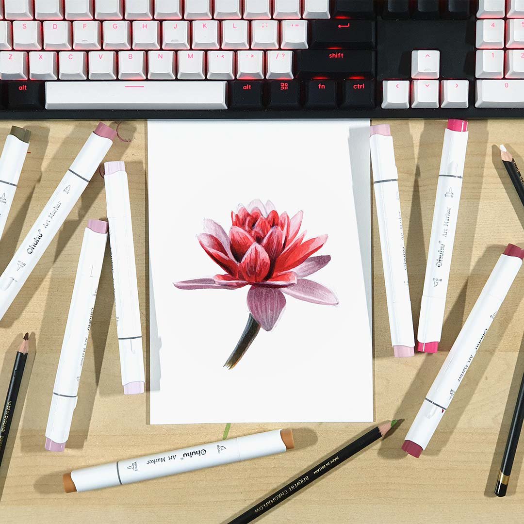 Lotus Flower Drawing Sketch