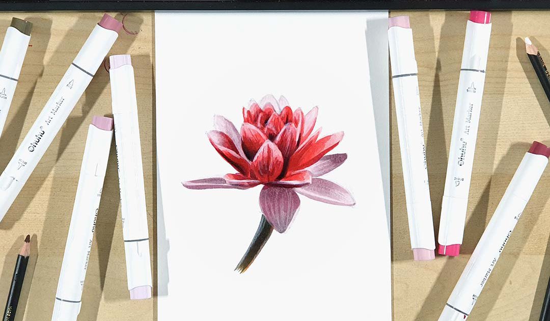 how to draw a lotus flower quickly