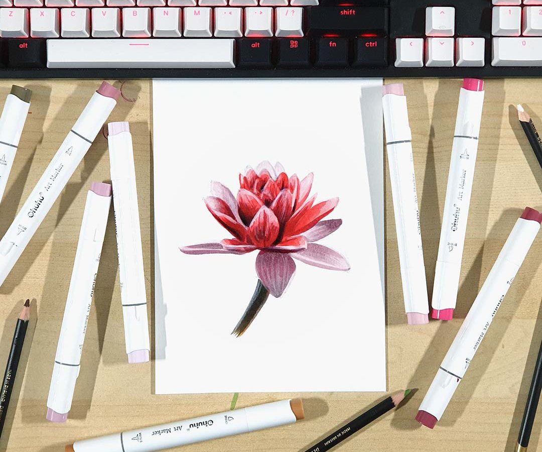 lotus drawing simple