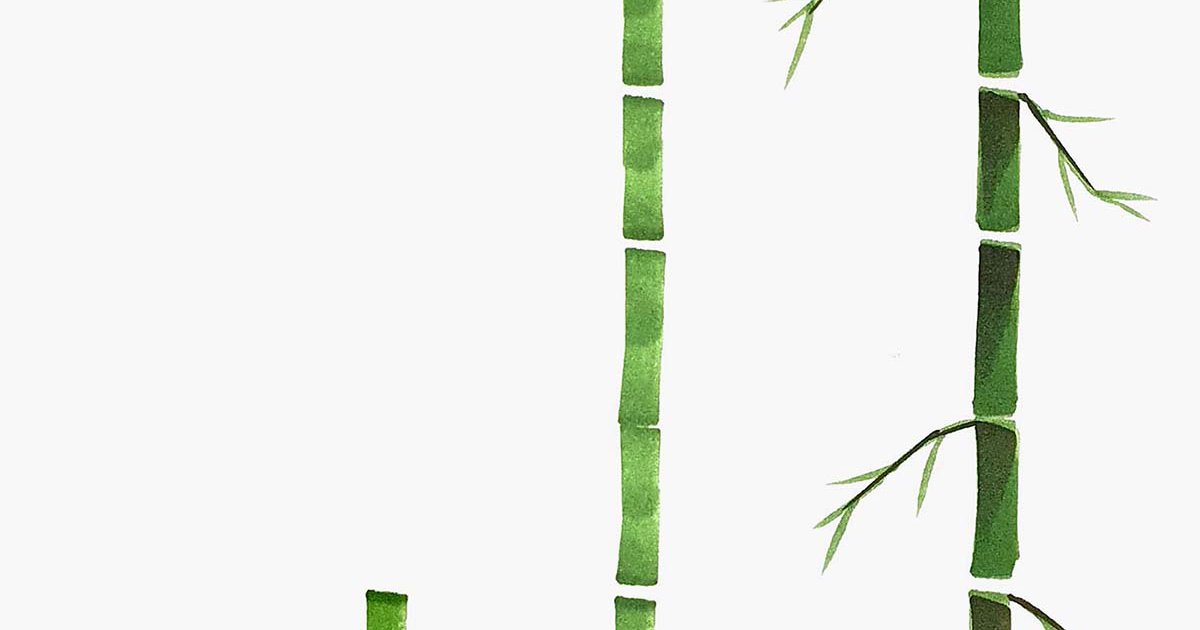 Bamboo Stalk Drawing