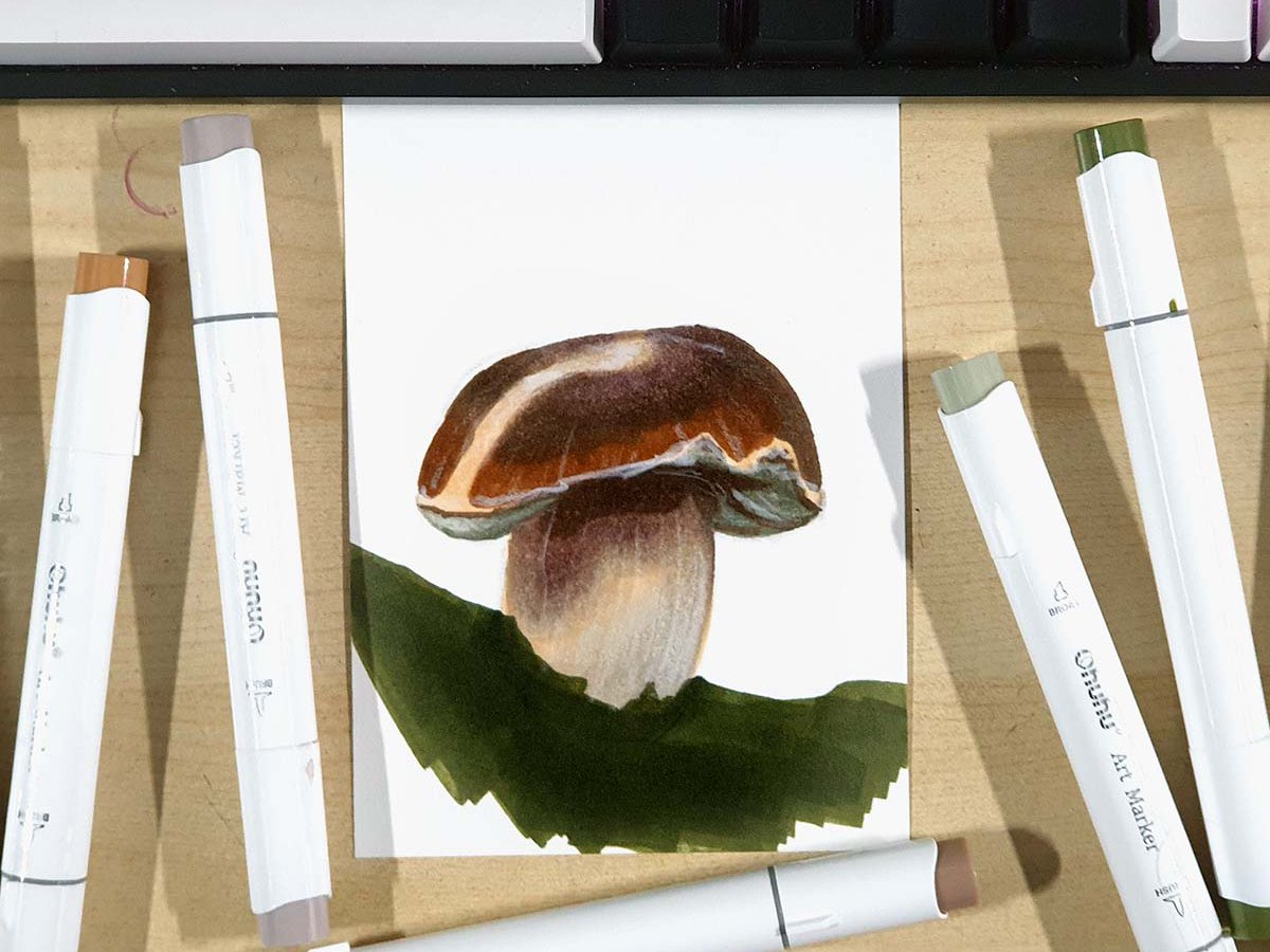 Simple Mushroom Drawing With Colour Pencil