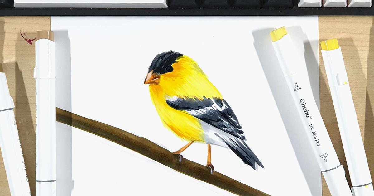 Beginner Bird Drawing Tutorial That Actually Helps