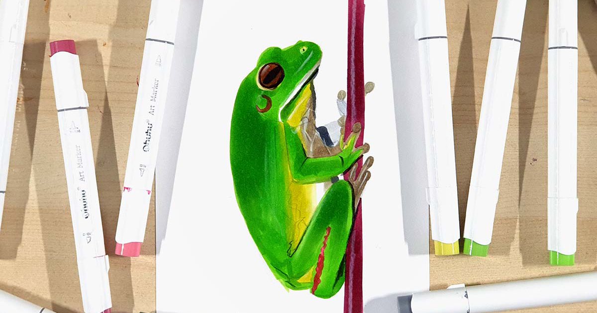 How To Draw A Frog - Cute & Easy Step-By-Step Tutorial