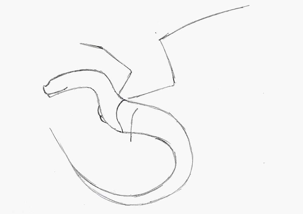 How To Draw A Dragon - Easy & Realistic Step By Step Guide