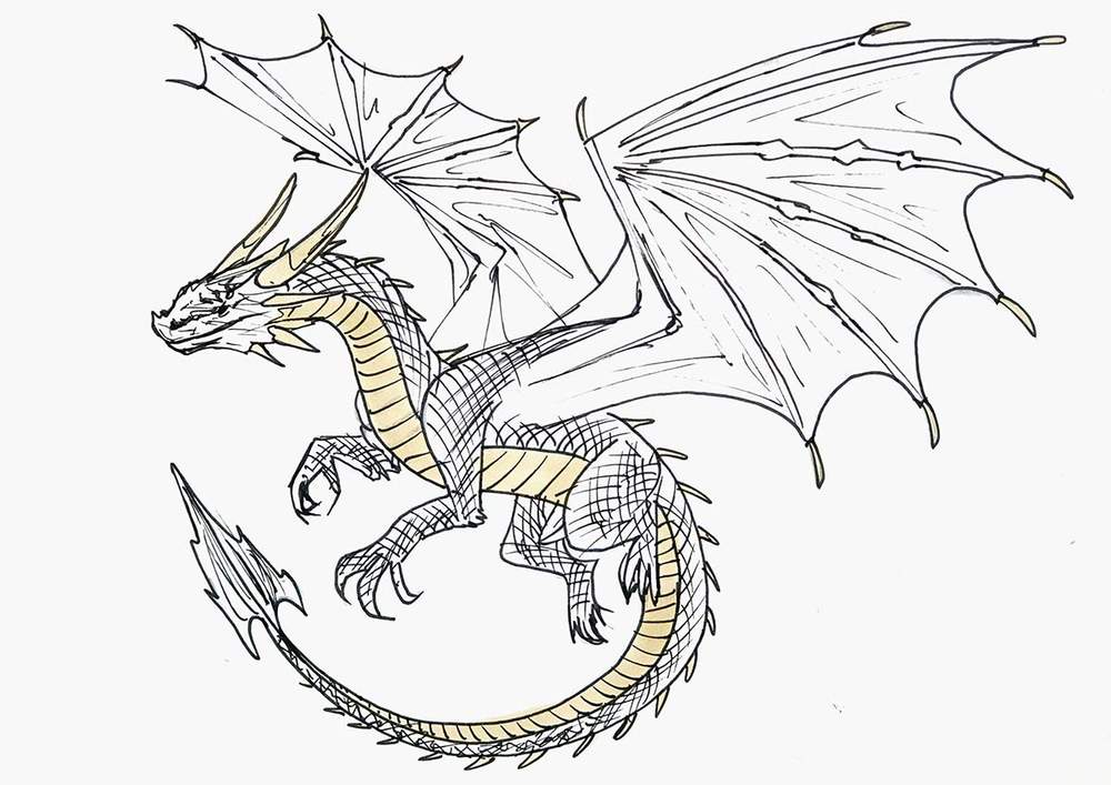 simple dragon drawing