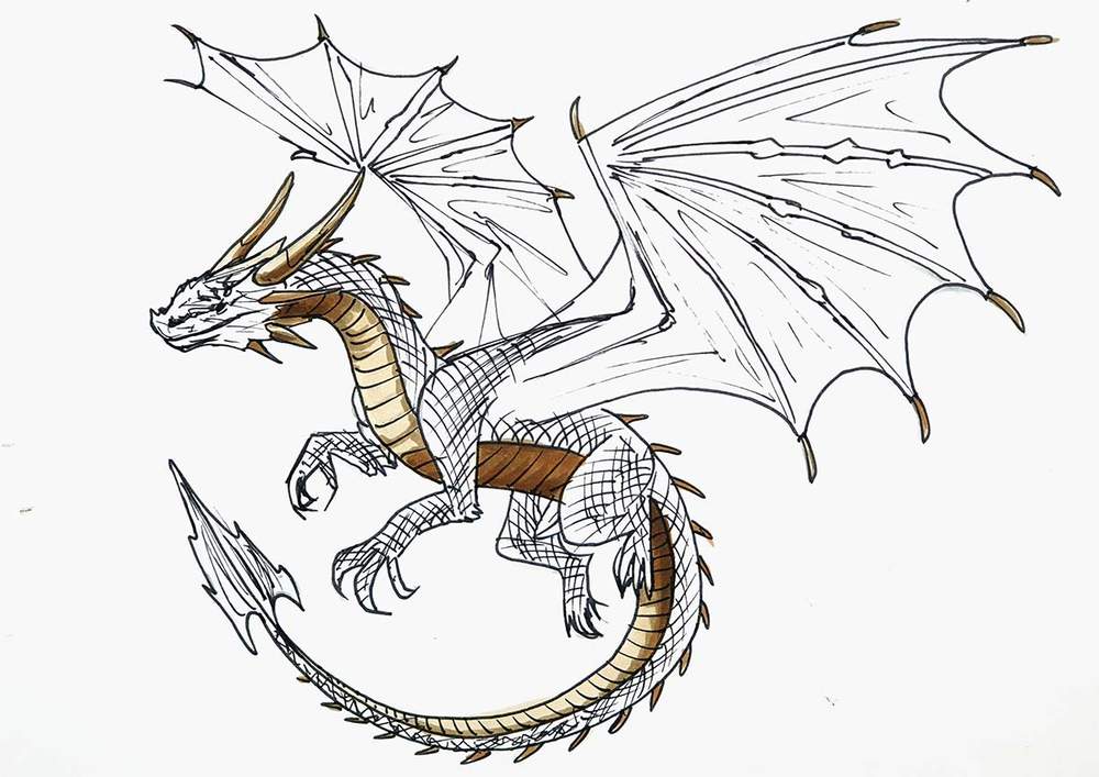 cool drawing dragon