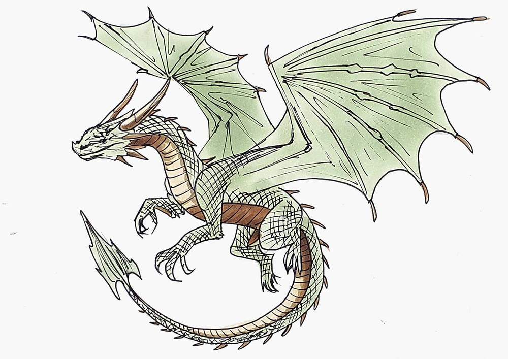 hungarian horntail coloring page