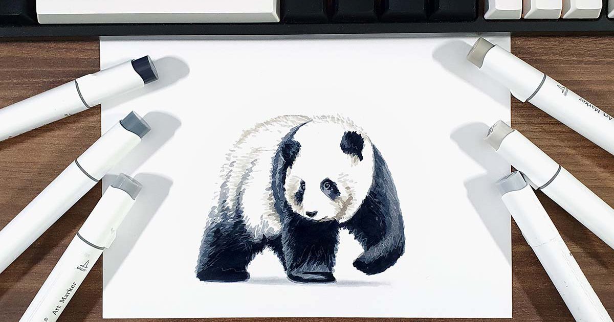 How To Draw A Panda – Simple Realistic Step By Step Guide for Beginners