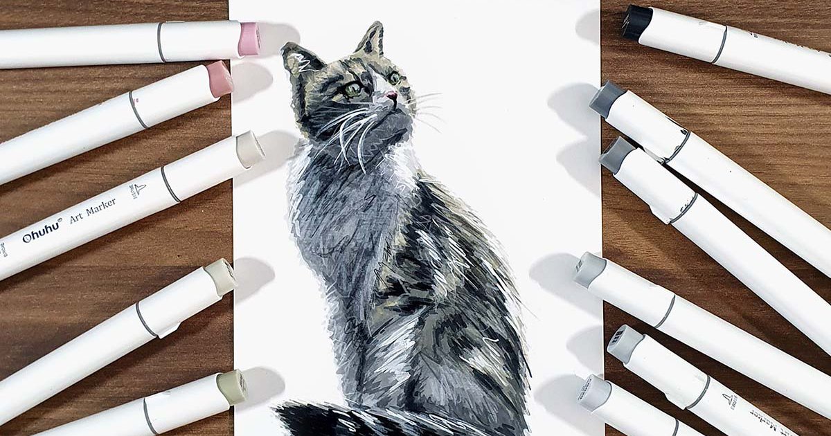 How To Draw A Realistic Cat Step by Step (With Markers & Pencils)