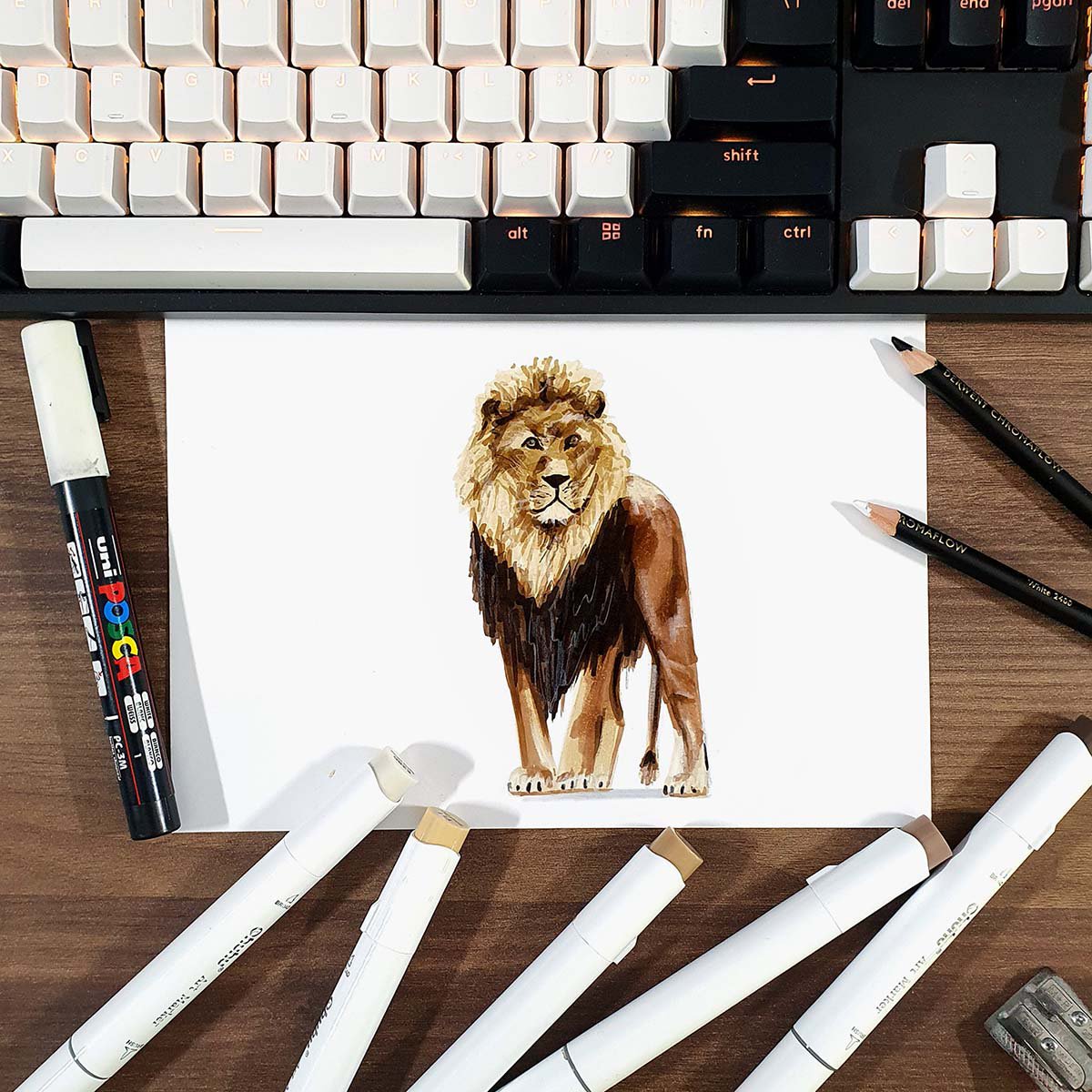 lion drawed
