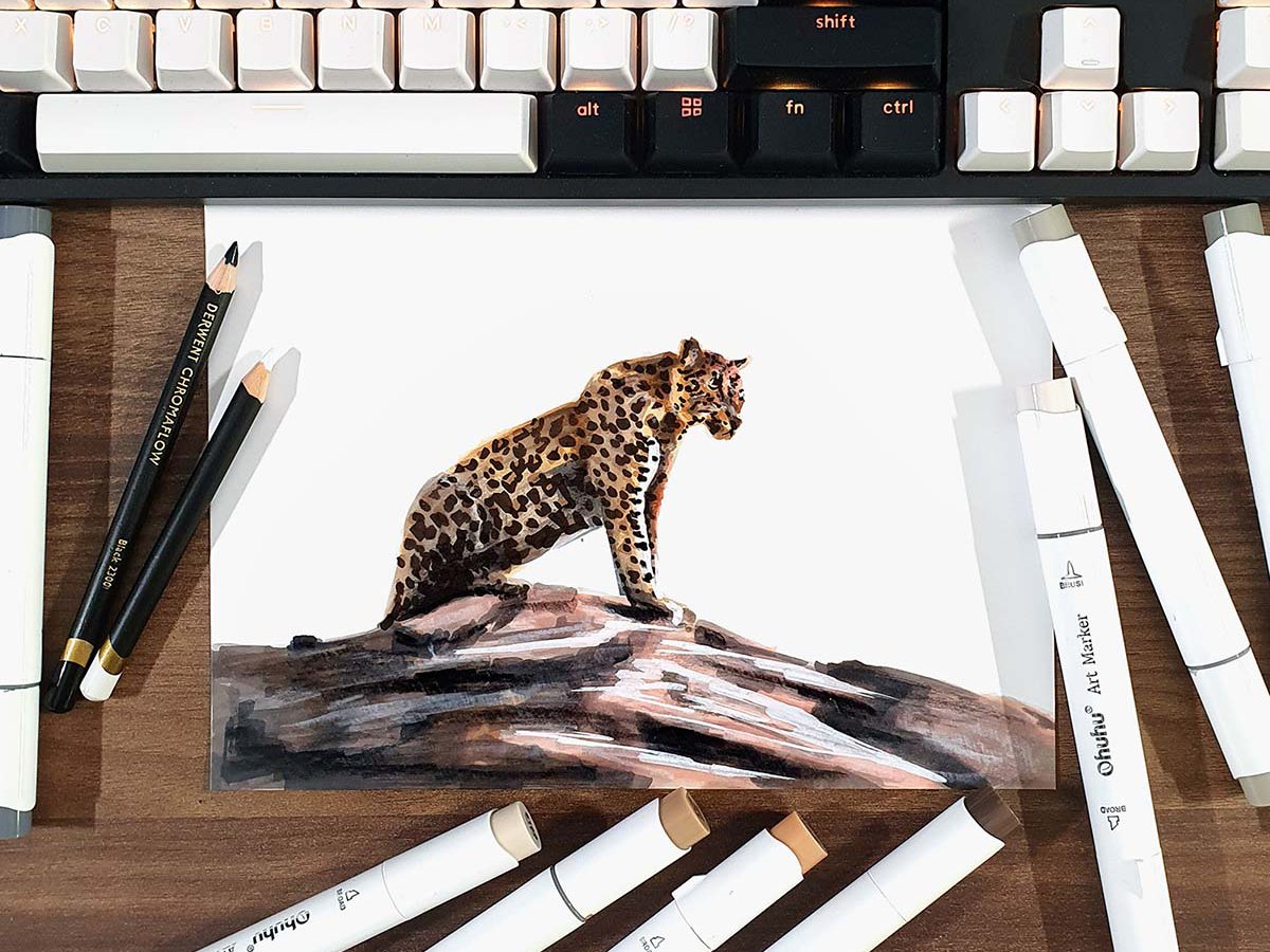 Leopard Drawing Step By Step