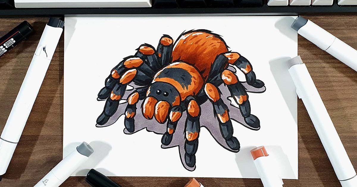 How To Draw A Spider (That Looks Kinda Cute!)