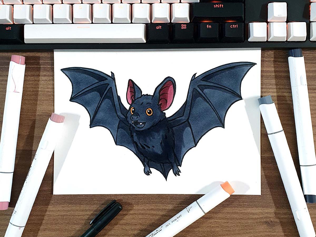 fruit bat wings drawing