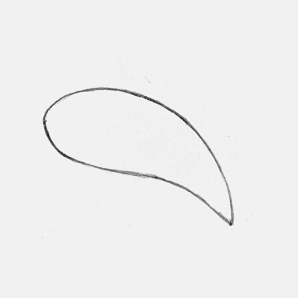 How to Draw a Dolphin Swimming in the Ocean Step by Step