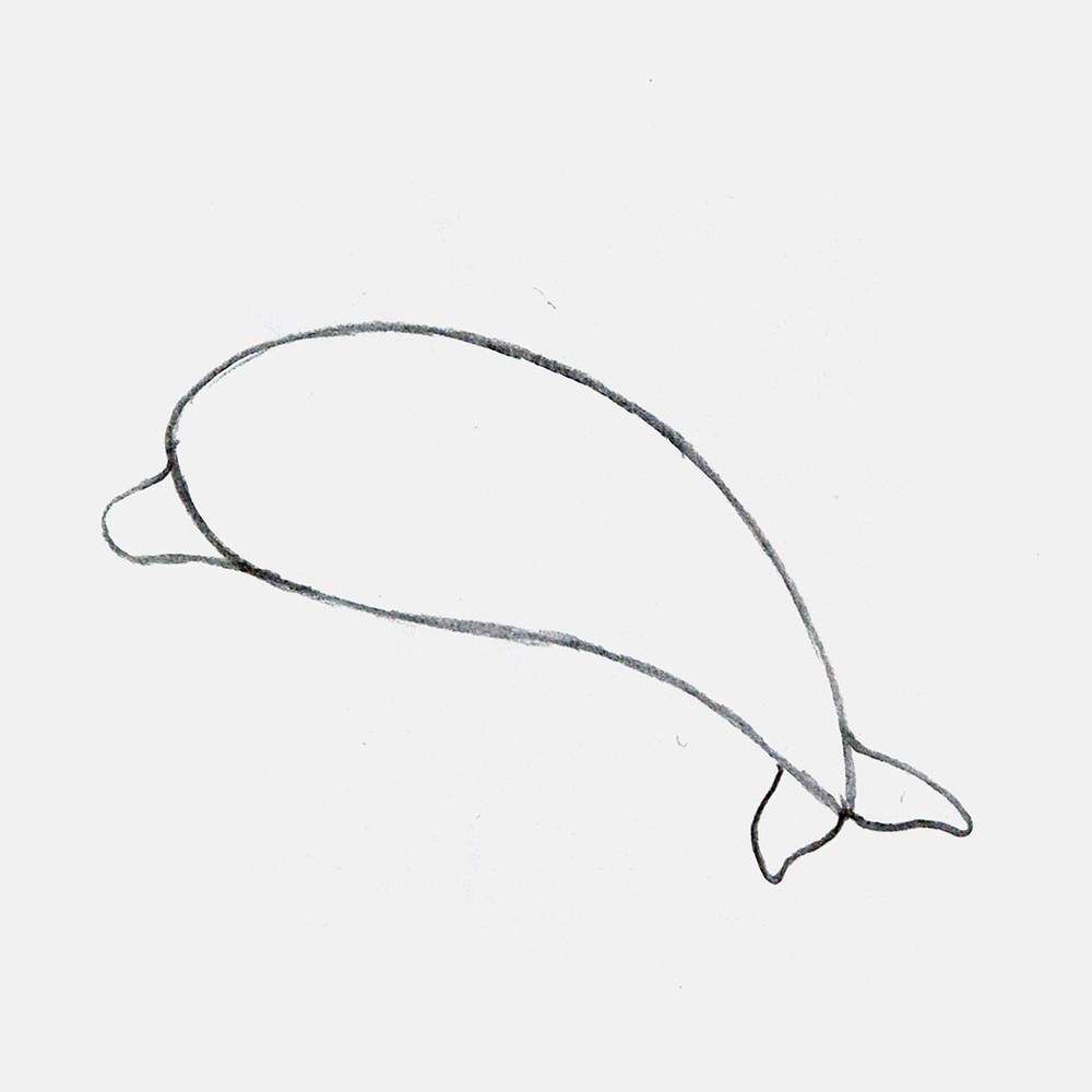 How to Draw a Dolphin Swimming in the Ocean Step by Step