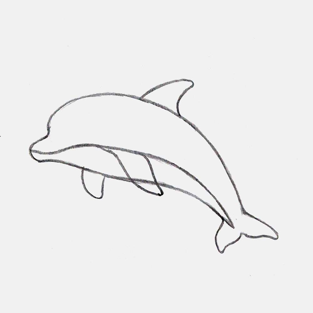 How to Draw a Dolphin Swimming in the Ocean Step by Step