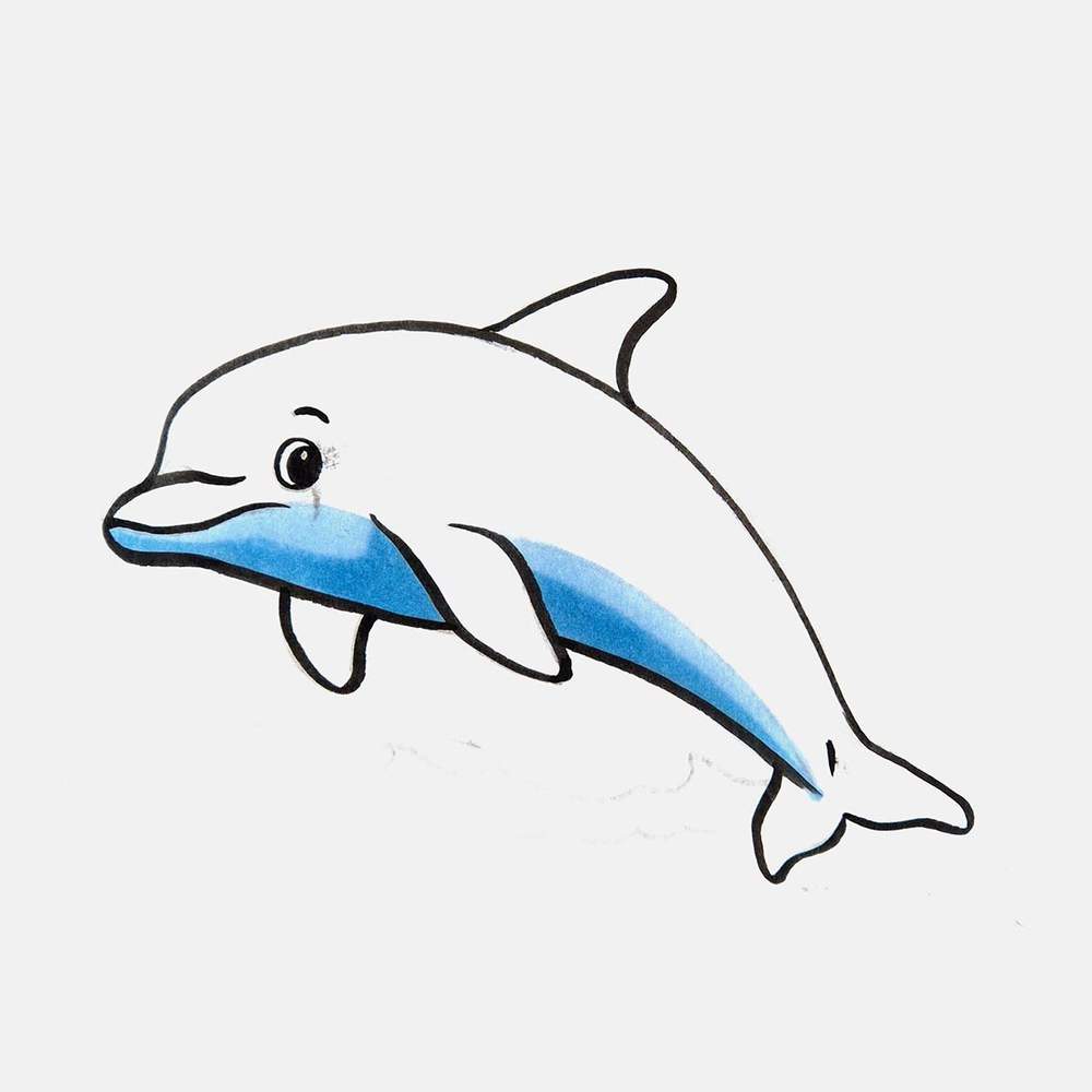 dolphin drawing