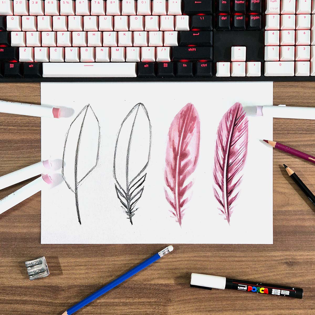 drawing feather