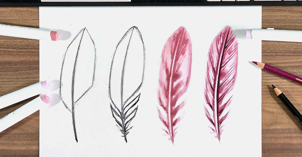 drawing feather
