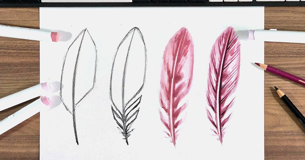 How to Draw a Feather - Step by Step Guide for Beginners