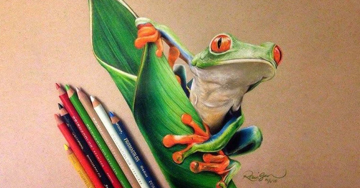24 Amazing Realistic Colored Pencil Drawing Ideas
